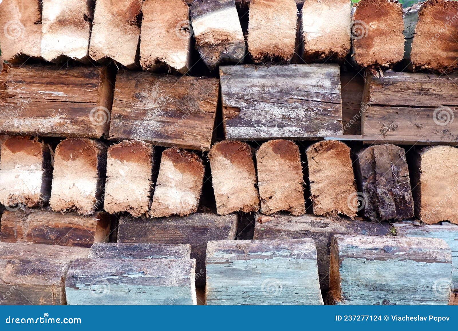 Stacked rows of firewood stock photo. Image of small - 237277124