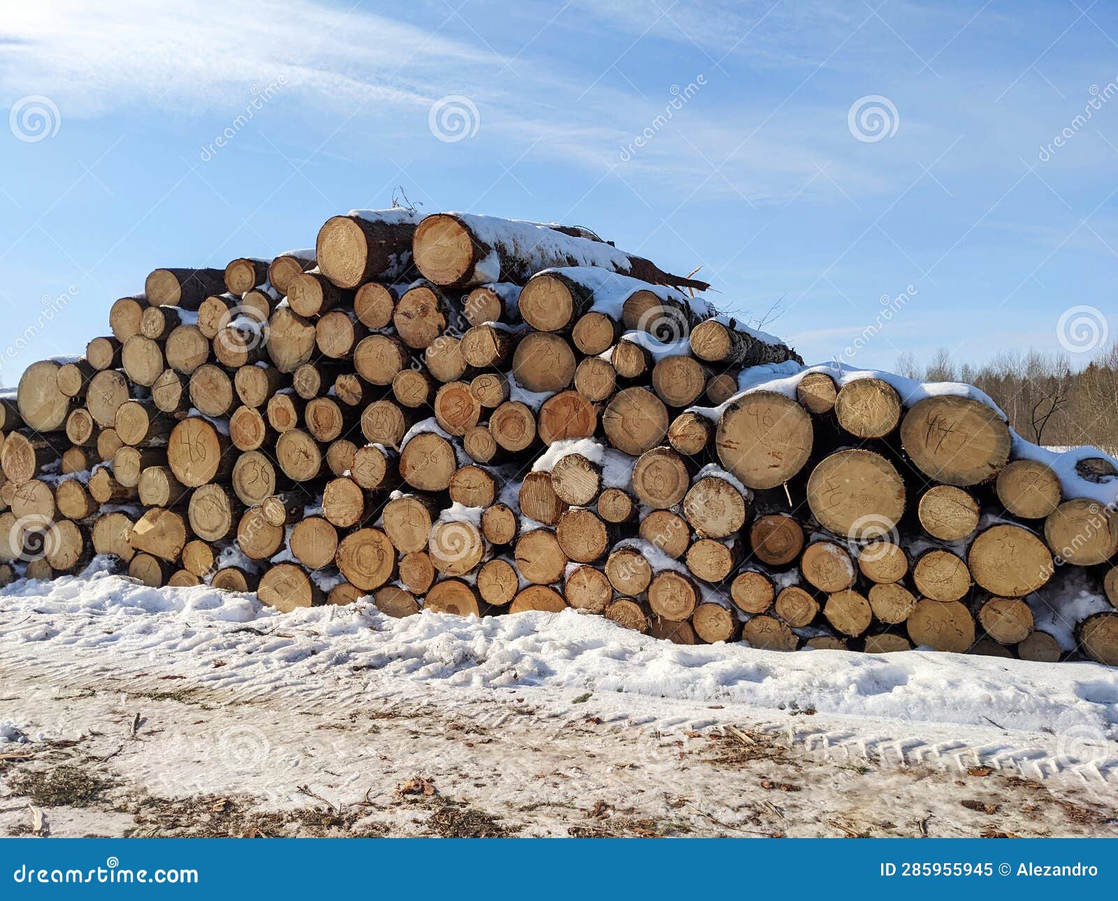 Sawn Logs Stacked In A Large Scenic Bunch Royalty-Free Stock Photo ...