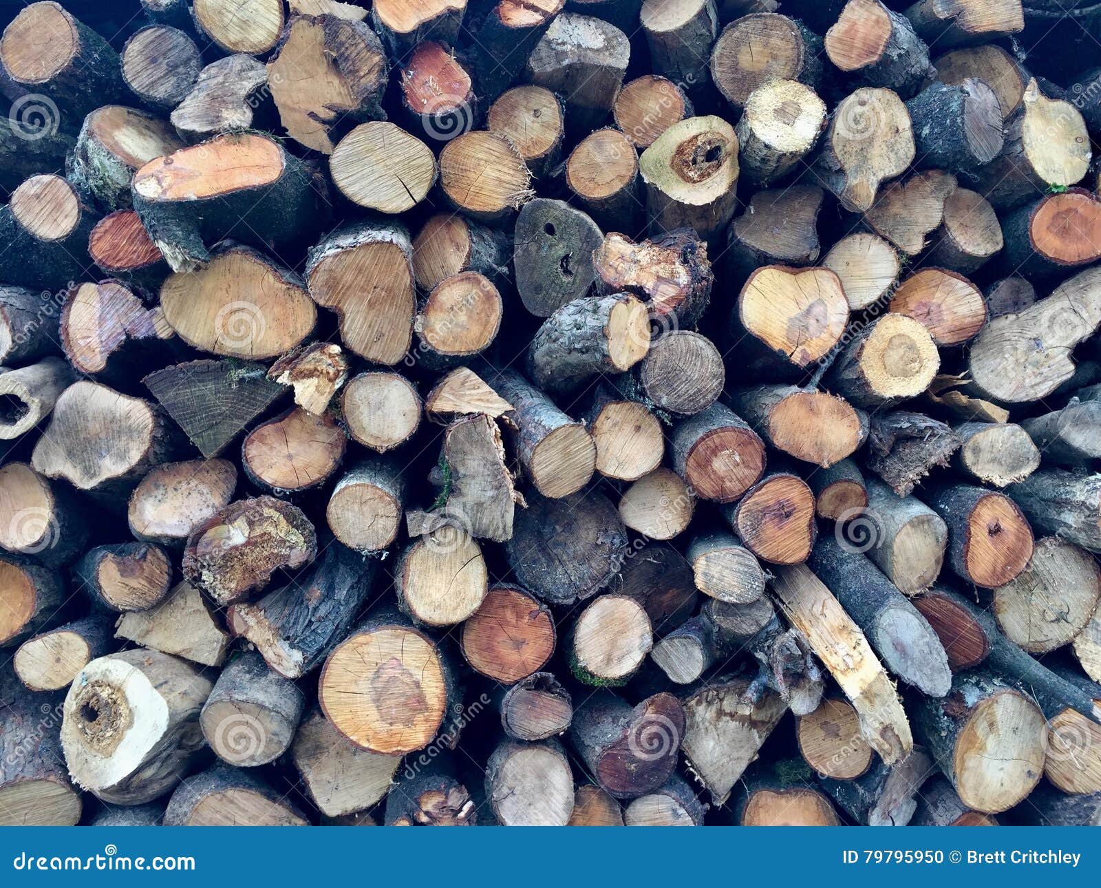 Stacked Seasoned Wood Log Logs Stock Photo - Image of pallet, chopped ...