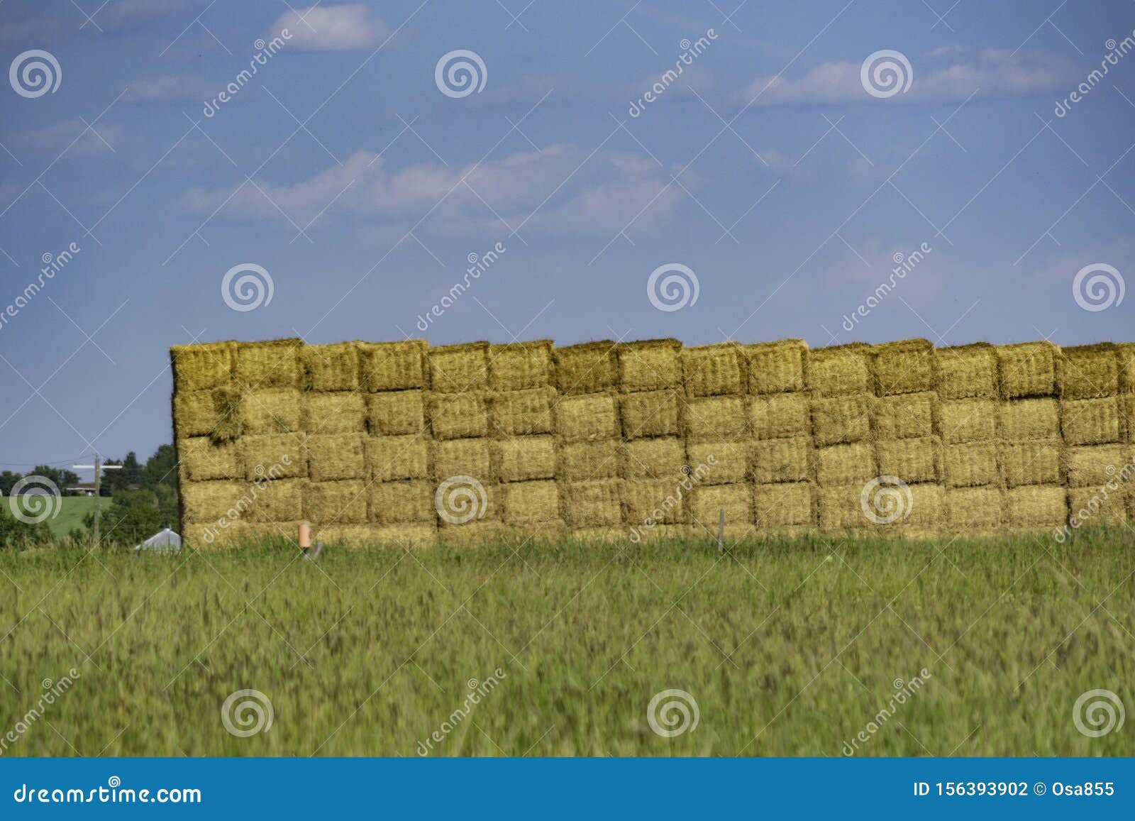 Stacked Square Bales of Hay in a Farm Field Stock Photo - Image of ...