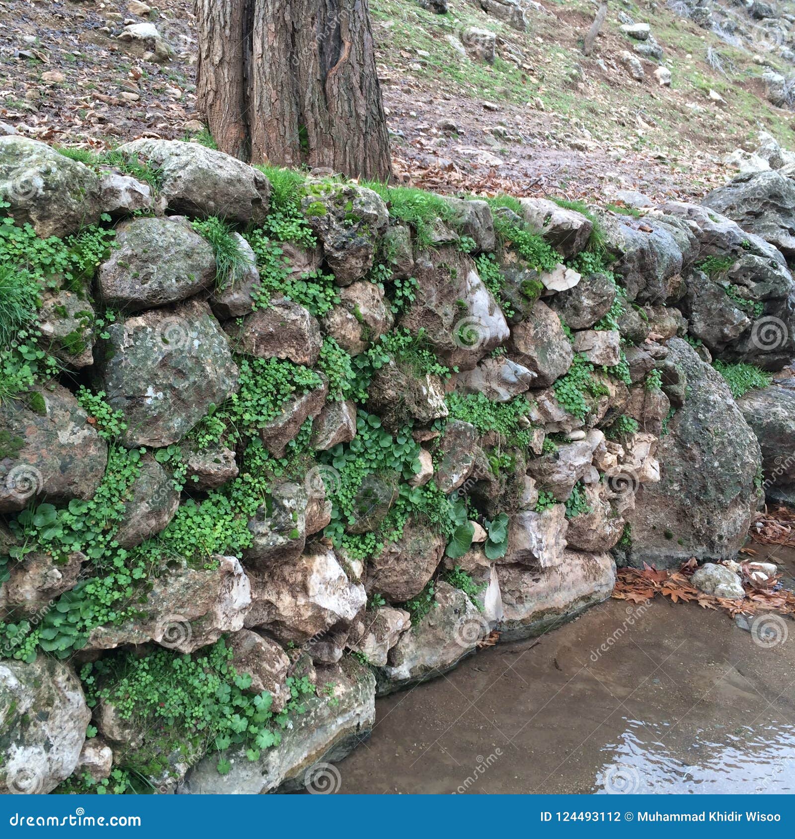 Stacked Stone with Grass Texture Stock Photo - Image of stones ...