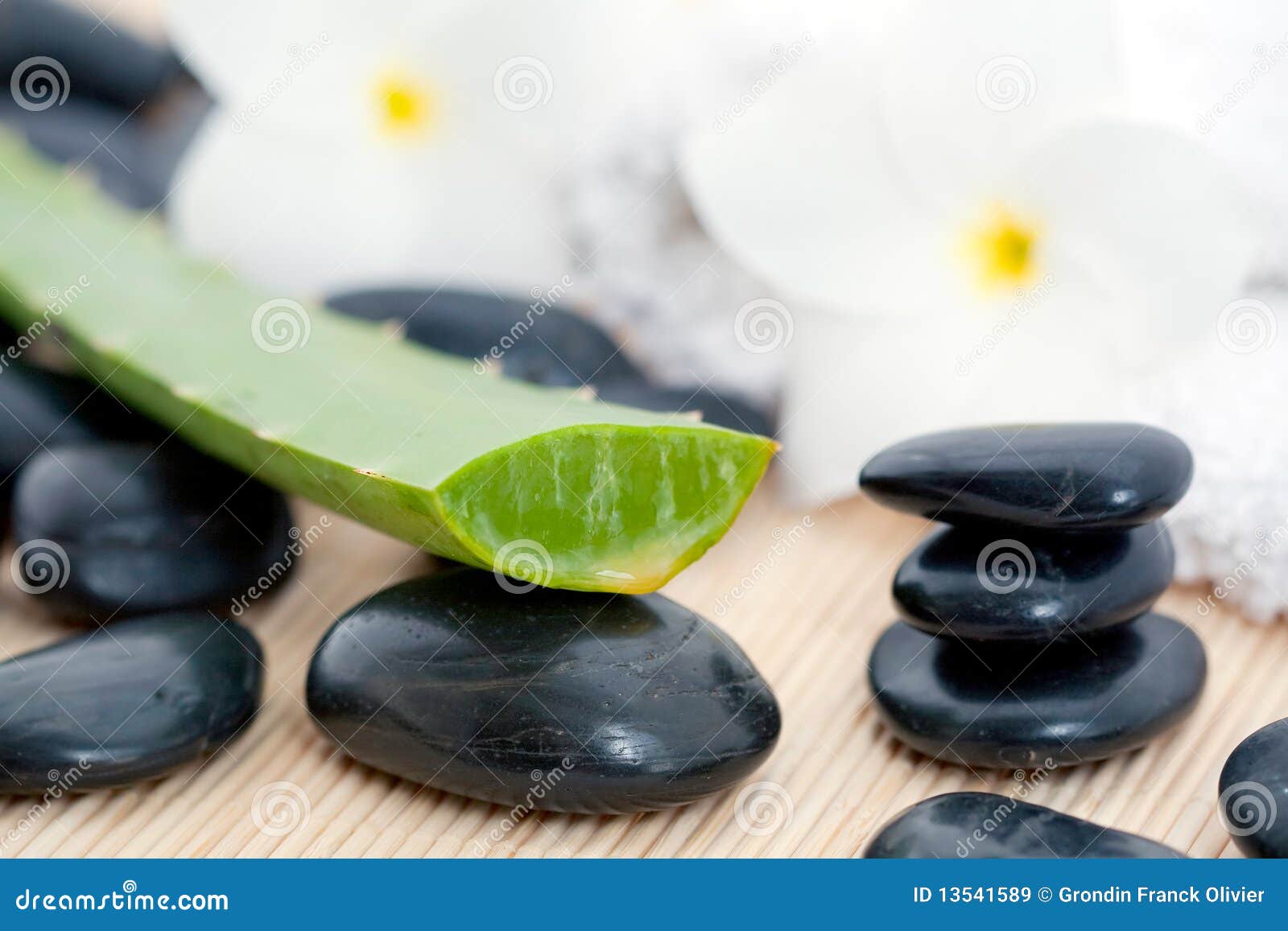 Stacked stones and aloe stock image. Image of relaxing - 13541589