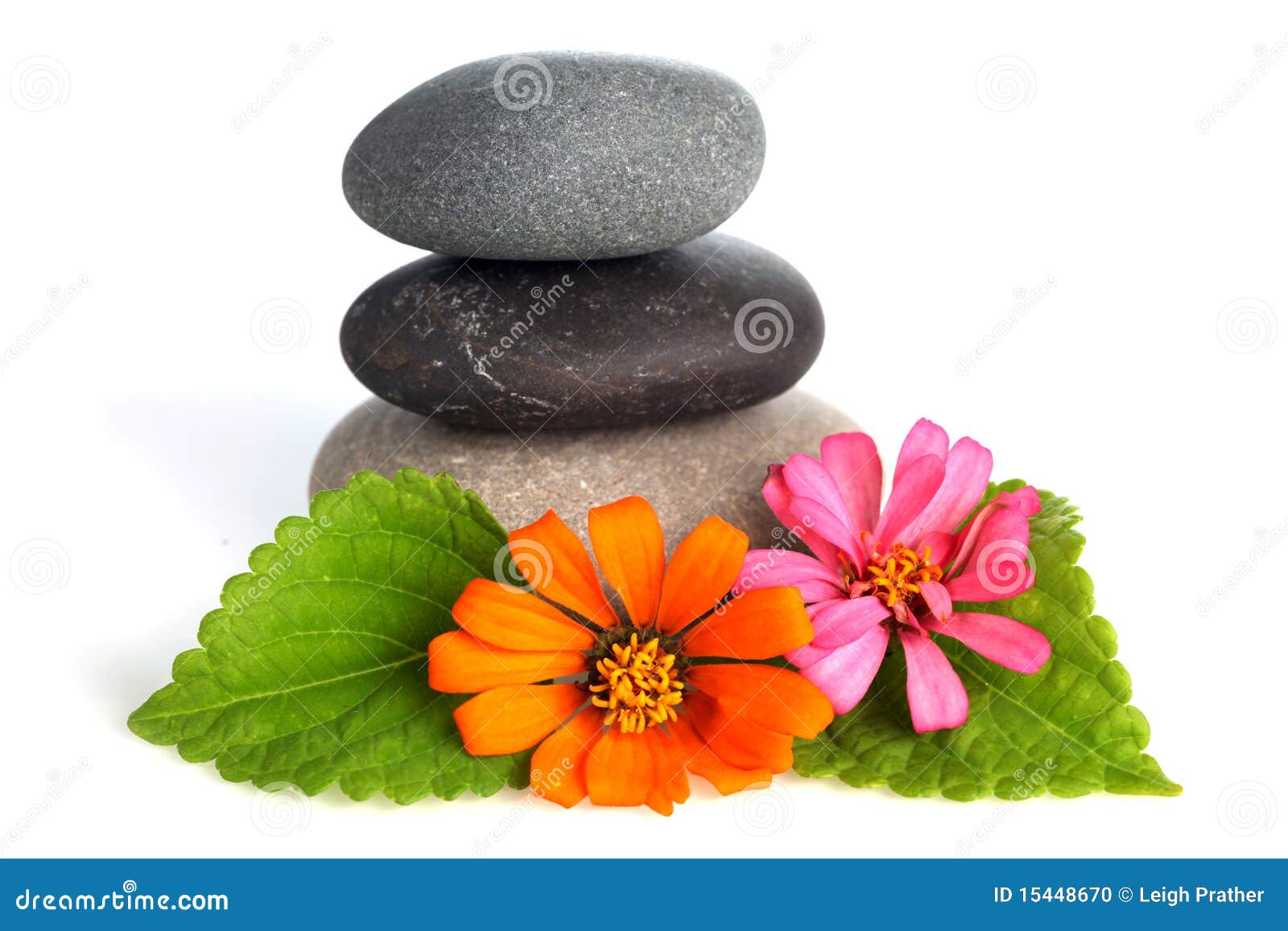 Stacked Stones with Flowers Stock Photo - Image of decoration, beauty ...