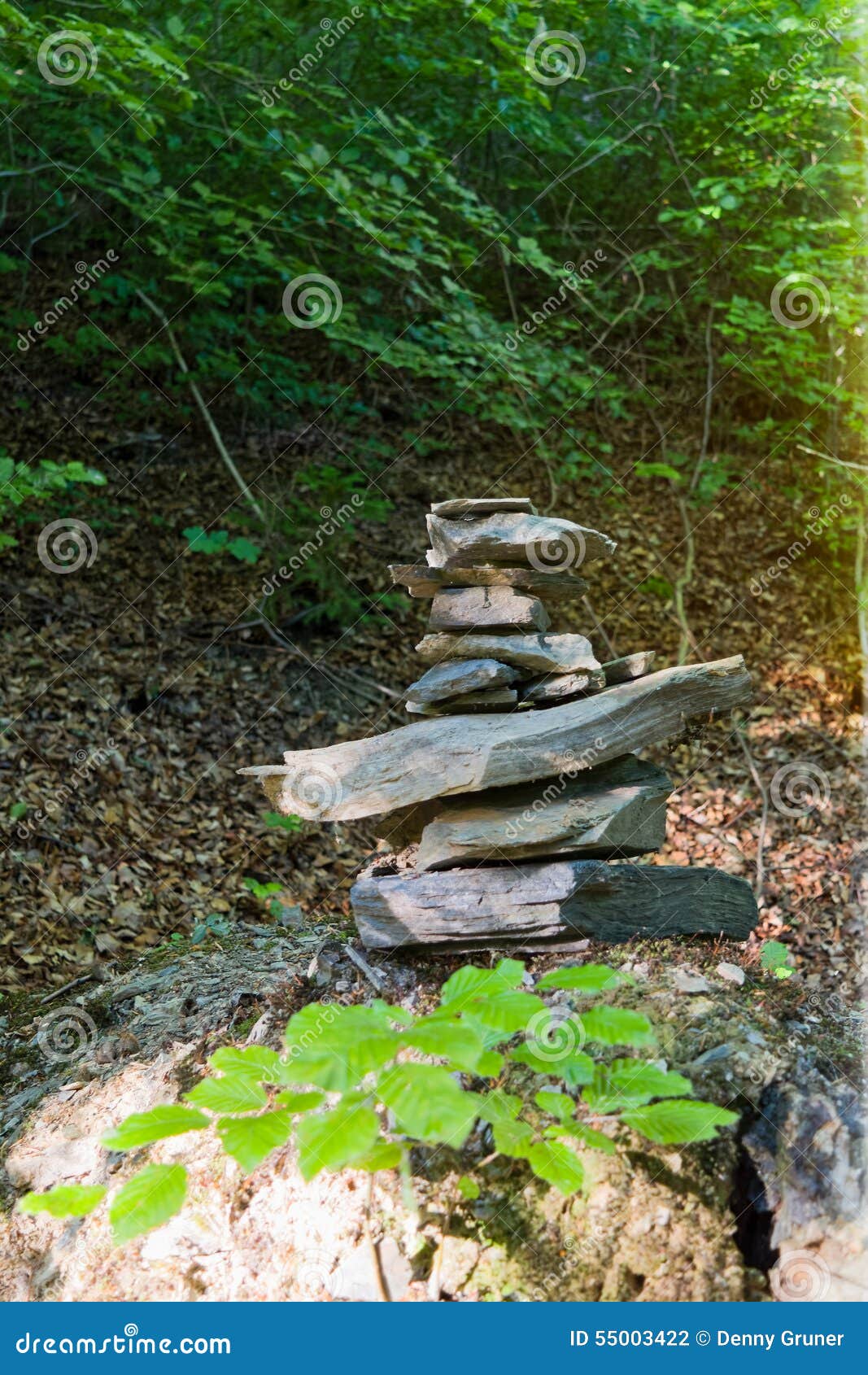 Stacked stones in forest stock photo. Image of lifestyles - 55003422