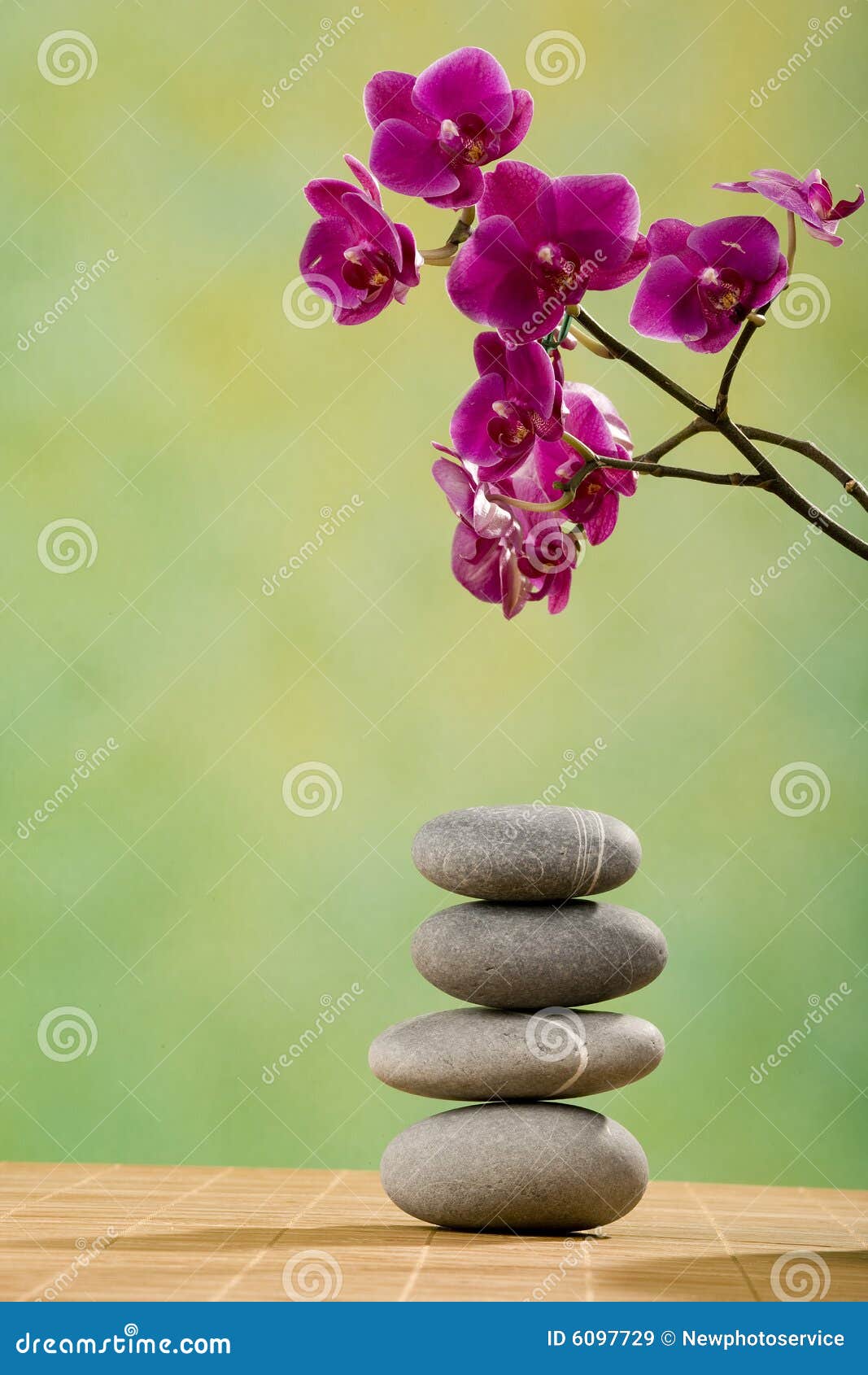 Stacked stones with orchid stock image. Image of balance - 6097729