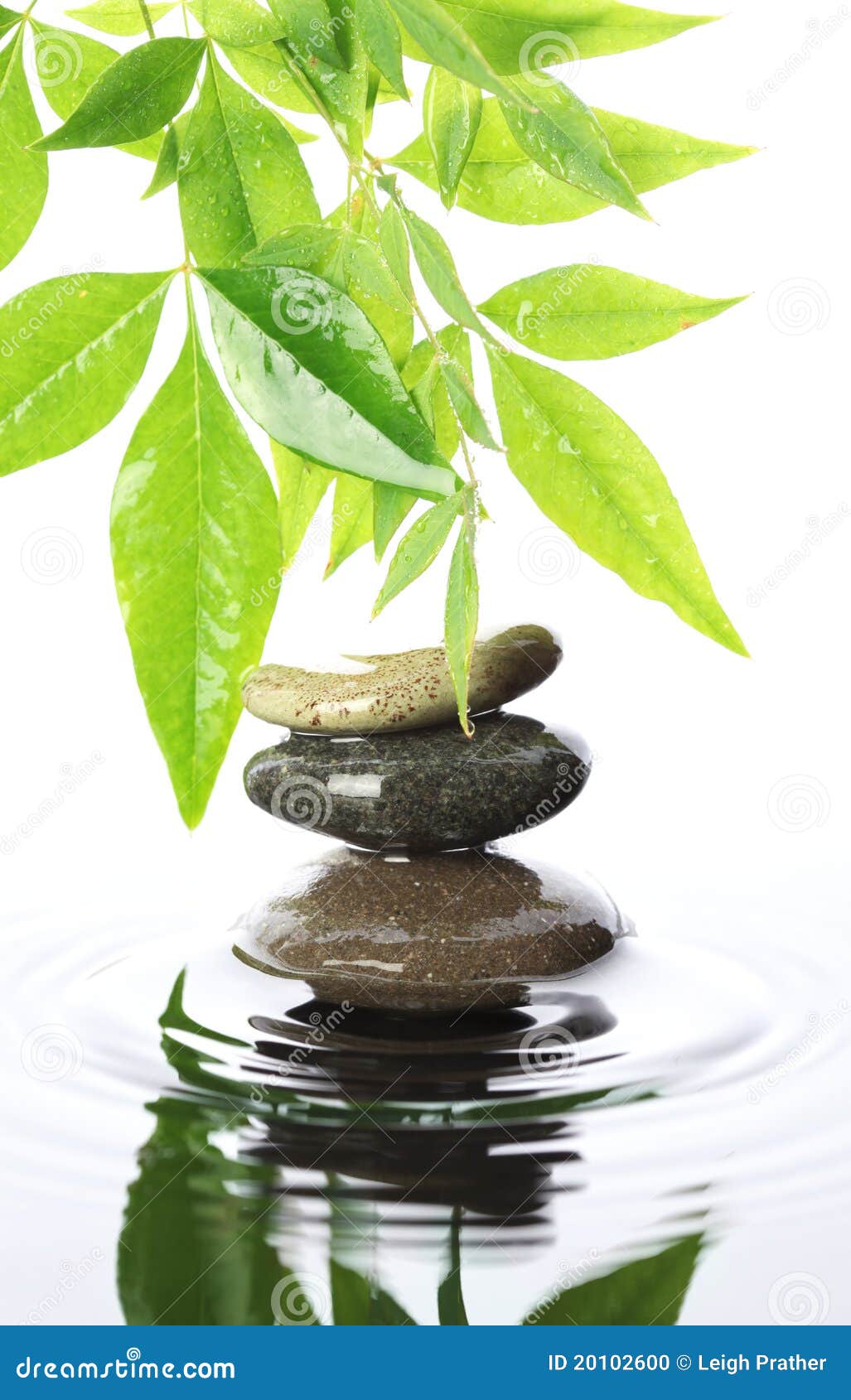 Stacked stones in water stock photo. Image of beauty - 20102600