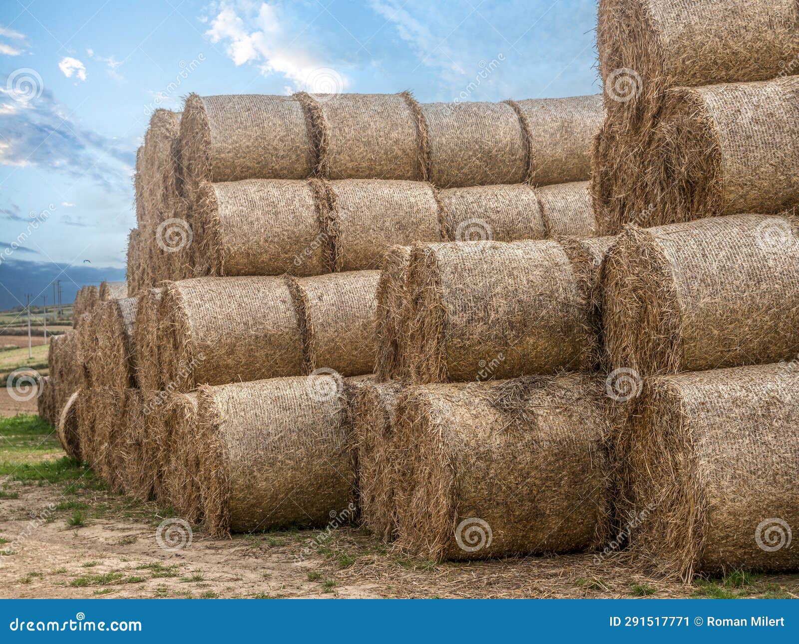 Stacked Straw Bales in the Field Stock Image - Image of round, bundle ...