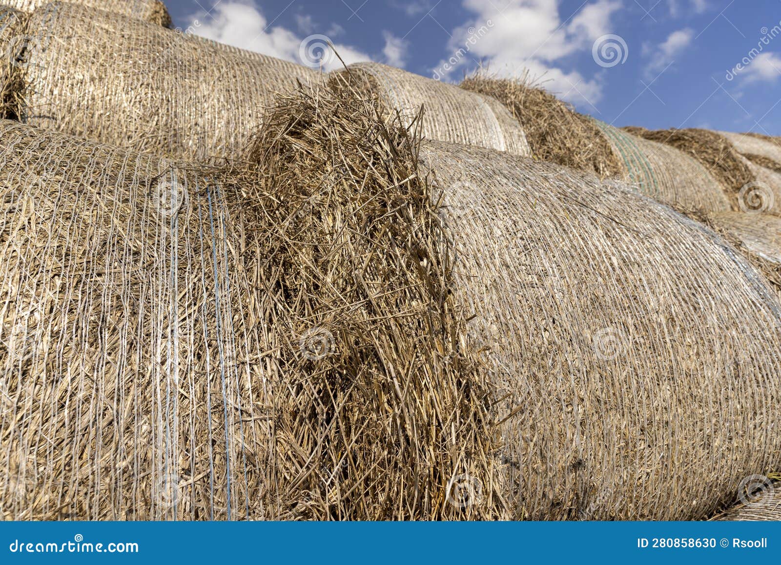 Stacked Straw Stacks in the Spring Season Remaining in the Field Stock ...
