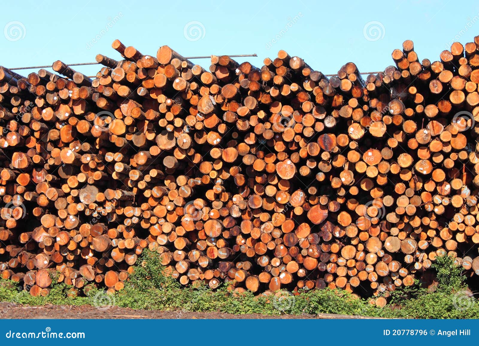 Stacked Timber stock photo. Image of fire, pale, house - 20778796