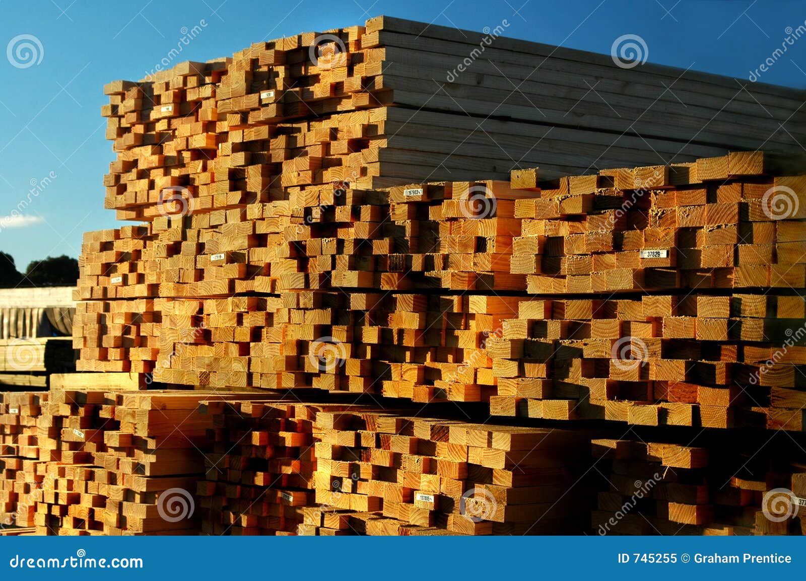 Stacked Timber stock image. Image of sawn, housing, green - 745255