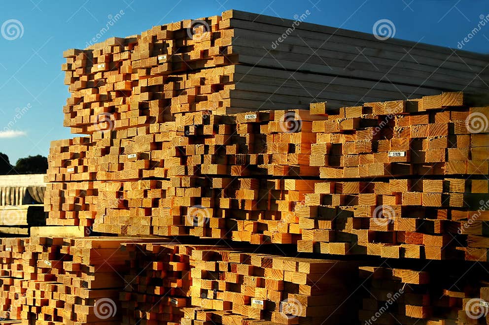 Stacked Timber stock image. Image of sawn, housing, green - 745255