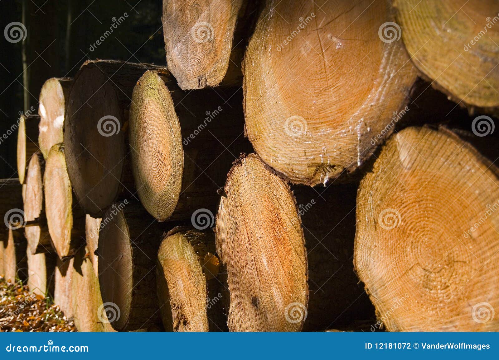 Stacked timber logs stock photo. Image of fireplace, firewood - 12181072