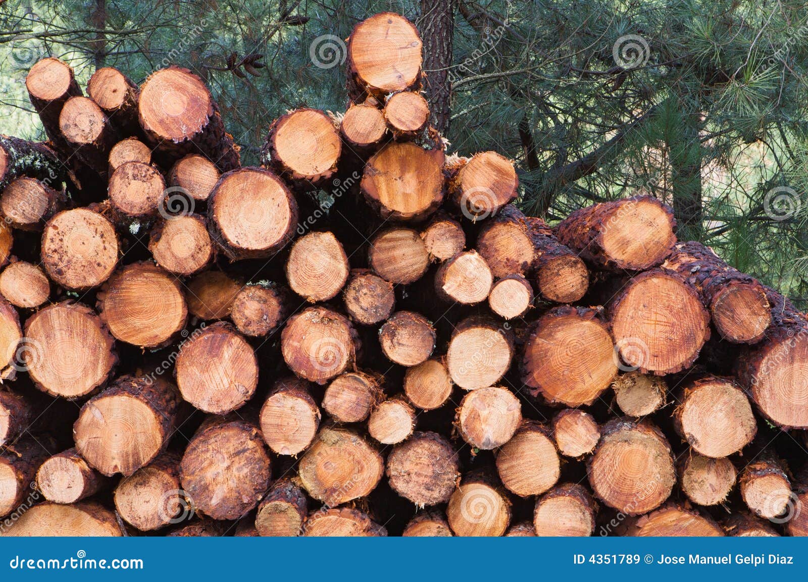 Stacked timber logs stock image. Image of frame, material - 4351789