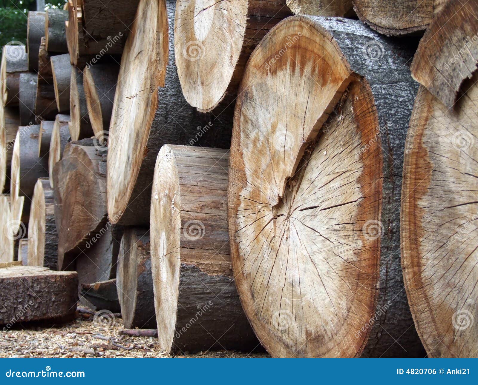 Stacked timber logs stock photo. Image of material, lumber - 4820706