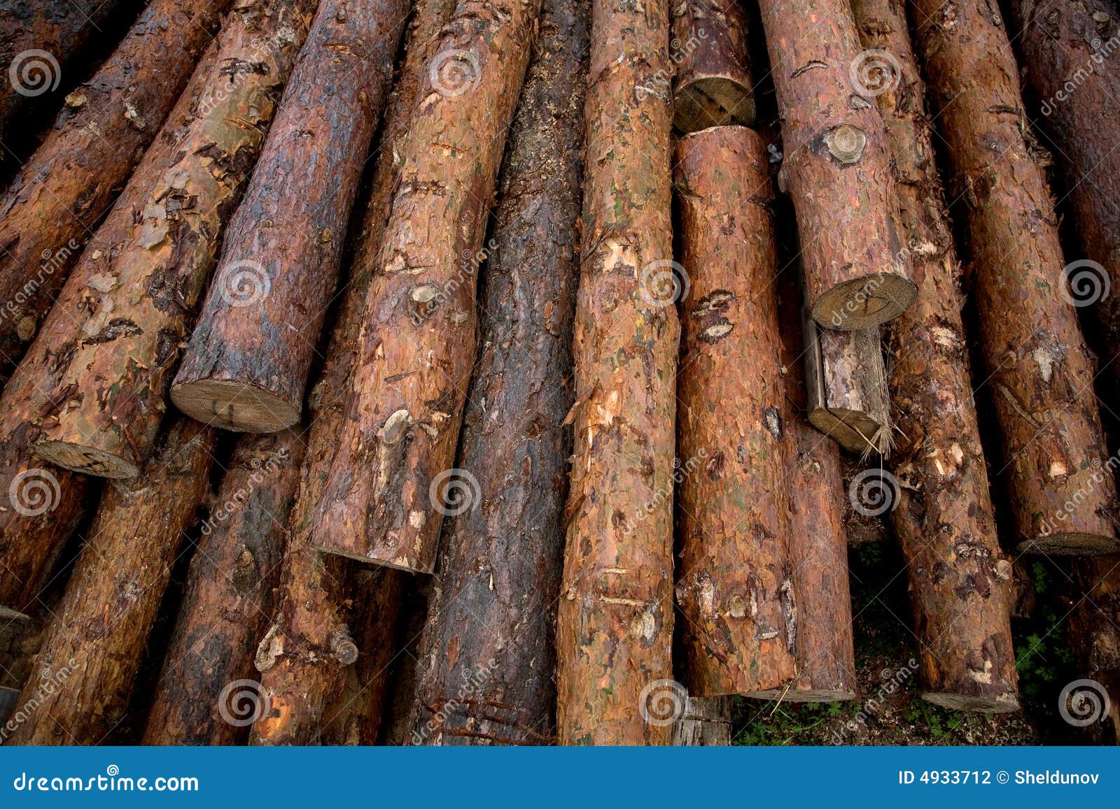 Stacked timber logs stock photo. Image of home, lumber - 4933712