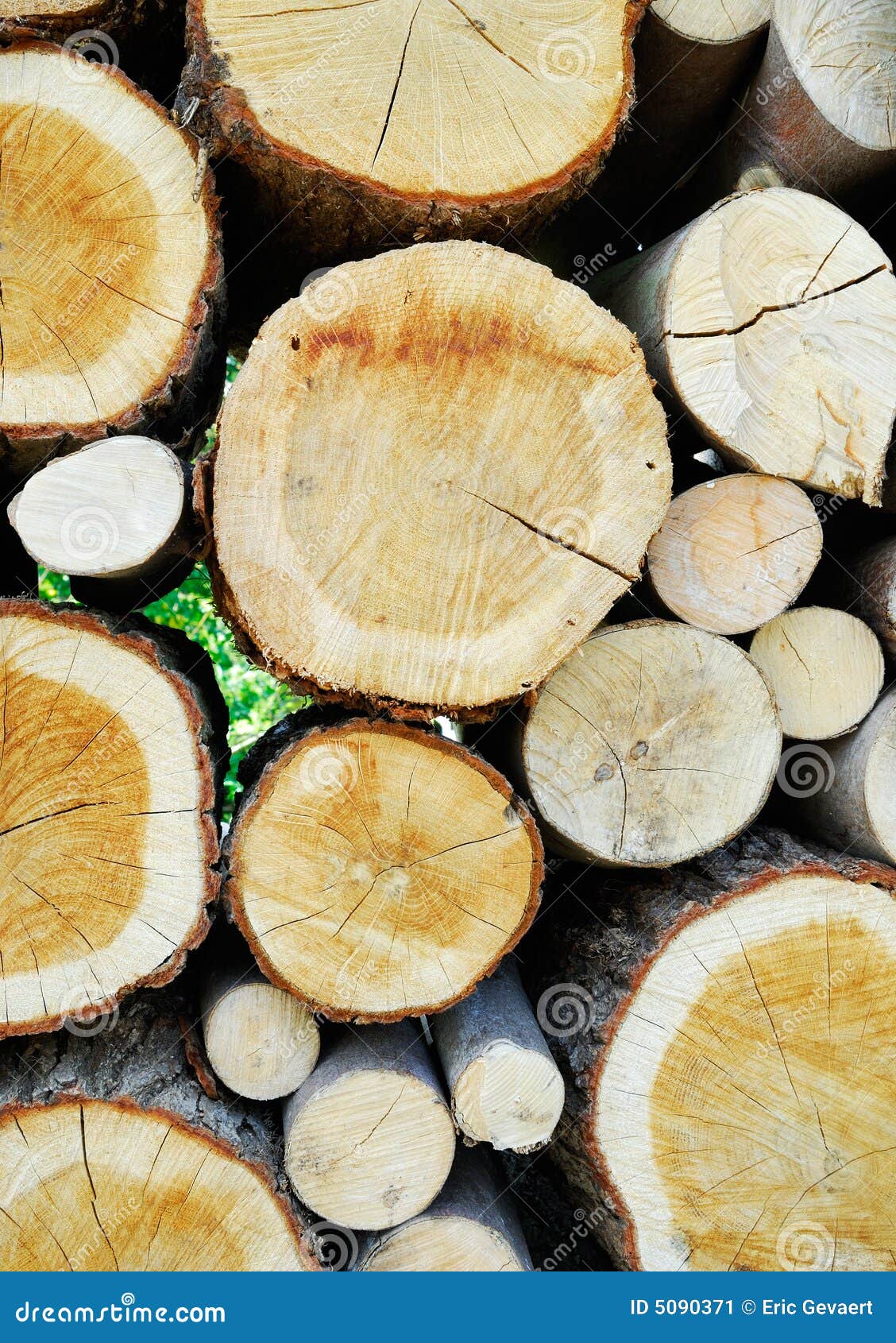 Two Timber Logs With Blue Paint In Pile Royalty-Free Stock Photo ...