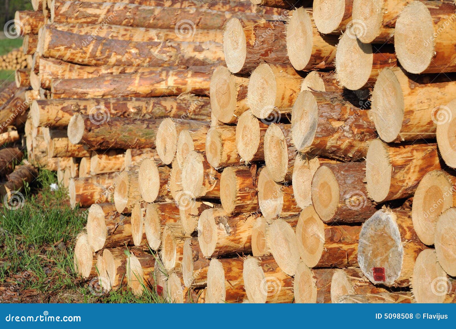 Stacked timber logs stock photo. Image of energy, brown - 5098508