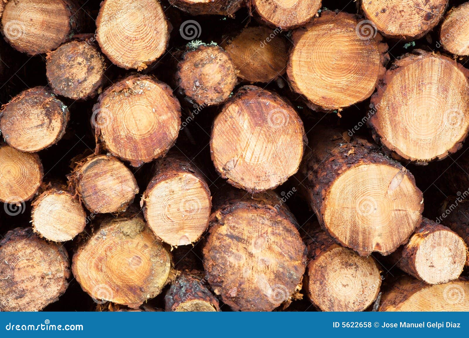 Two Timber Logs With Blue Paint In Pile Royalty-Free Stock Photo ...
