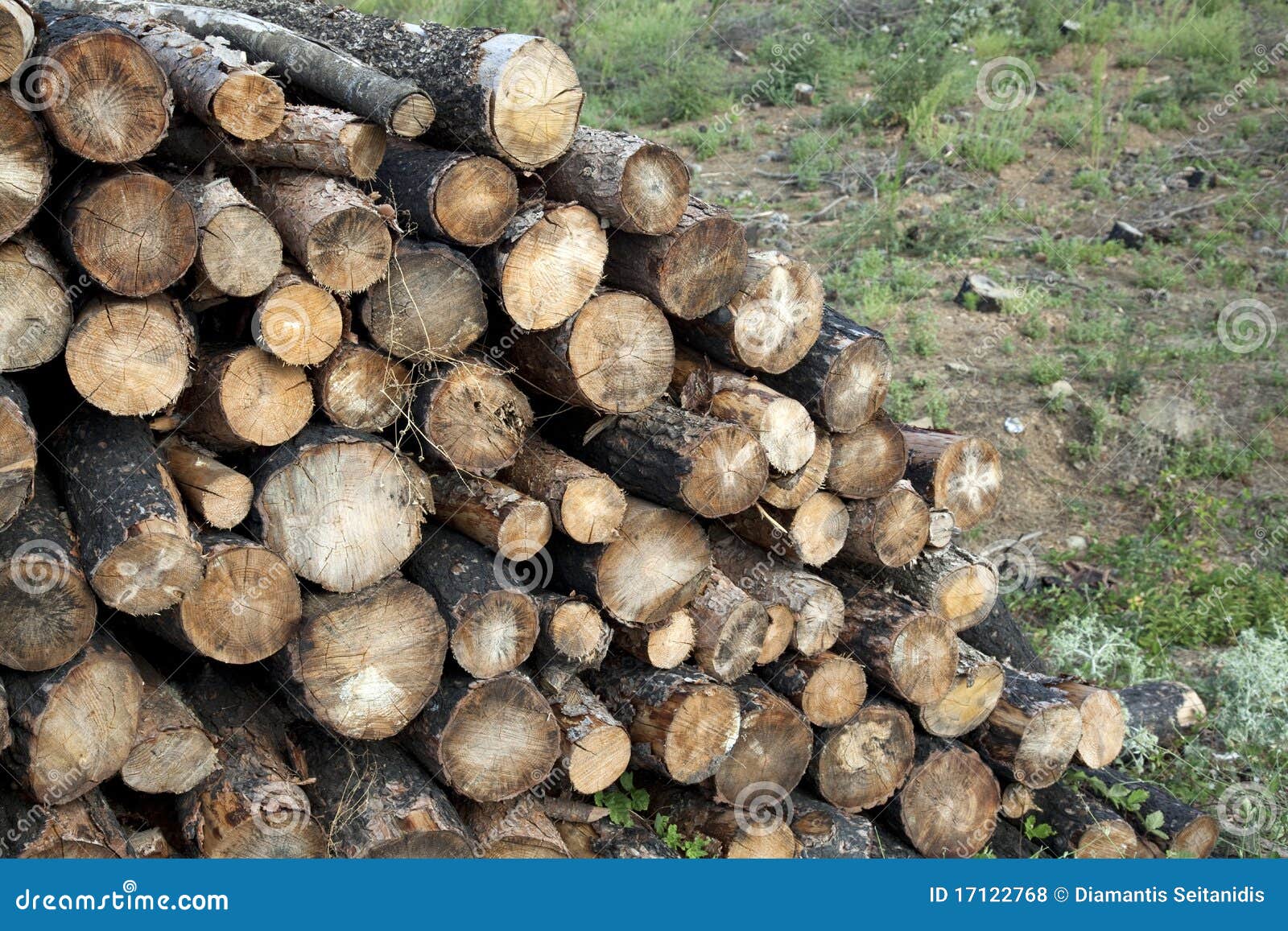 Stacked Timber Logs - Fuel for Fire Stock Photo - Image of logging ...