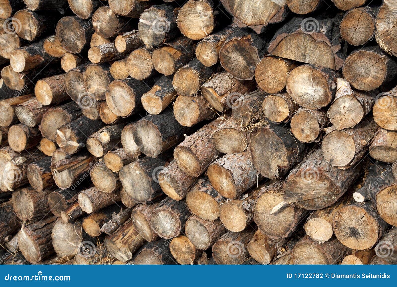 Stacked Timber Logs - Fuel for Fire Stock Photo - Image of pile ...
