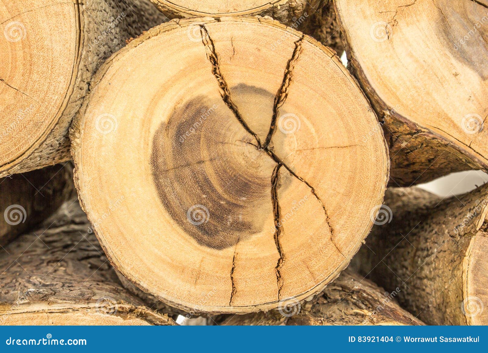 Stacked timber stock photo. Image of background, natural - 83921404
