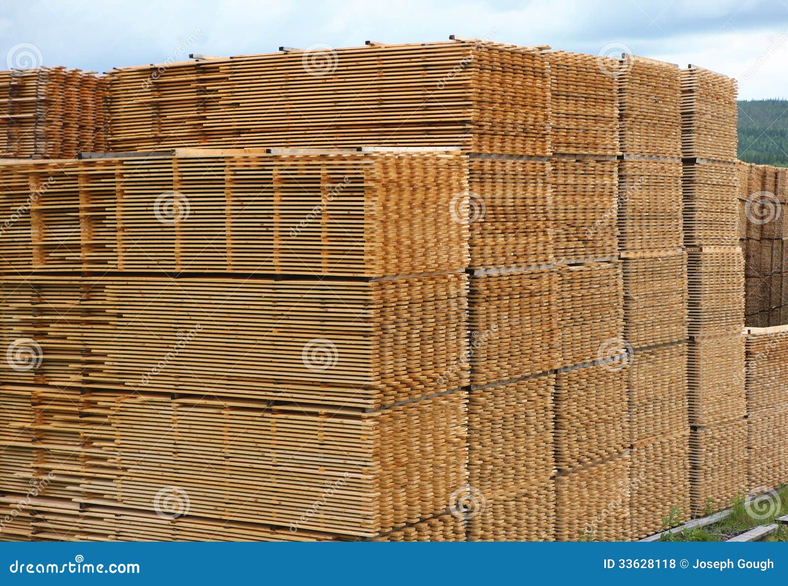 Stacked Timber Planks Drying Stock Photo - Image of industrial, site ...
