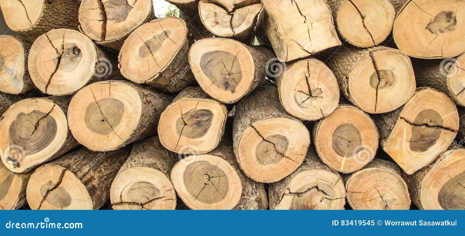 Stacked timber stock image. Image of fuel, nature, industry - 83419545