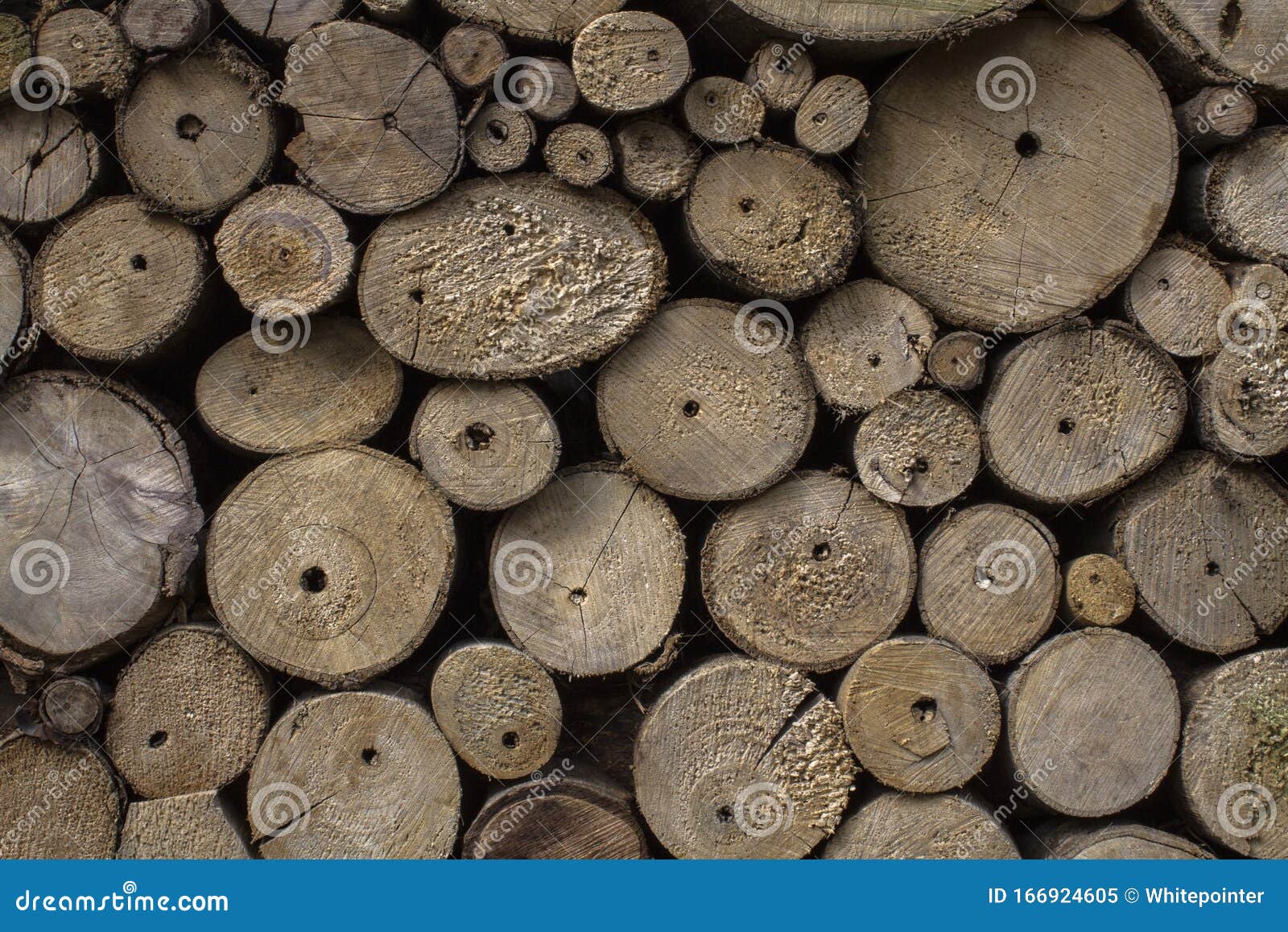 Stacked of Tree Branches Timber Pieces for Photography Background Stock ...