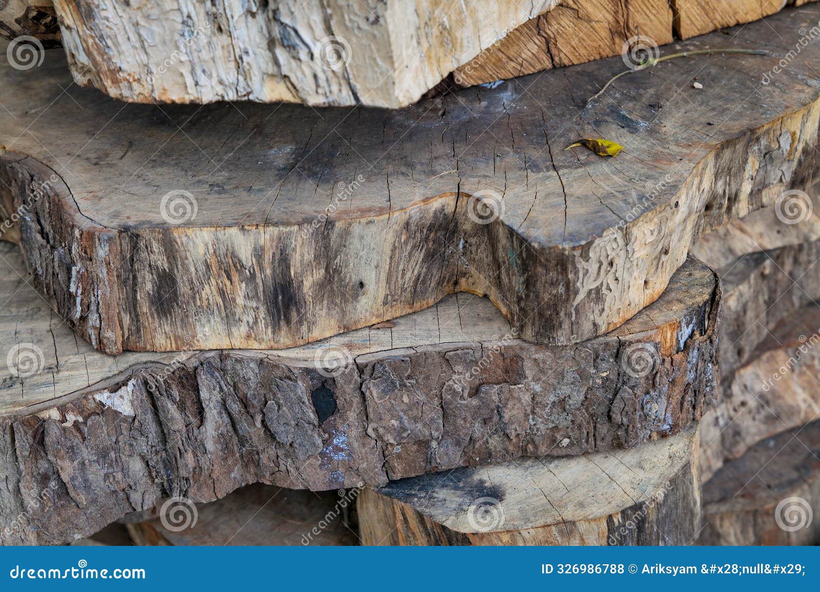 Pile of tree cuttings stock photo. Image of pile, cuttings - 326986788