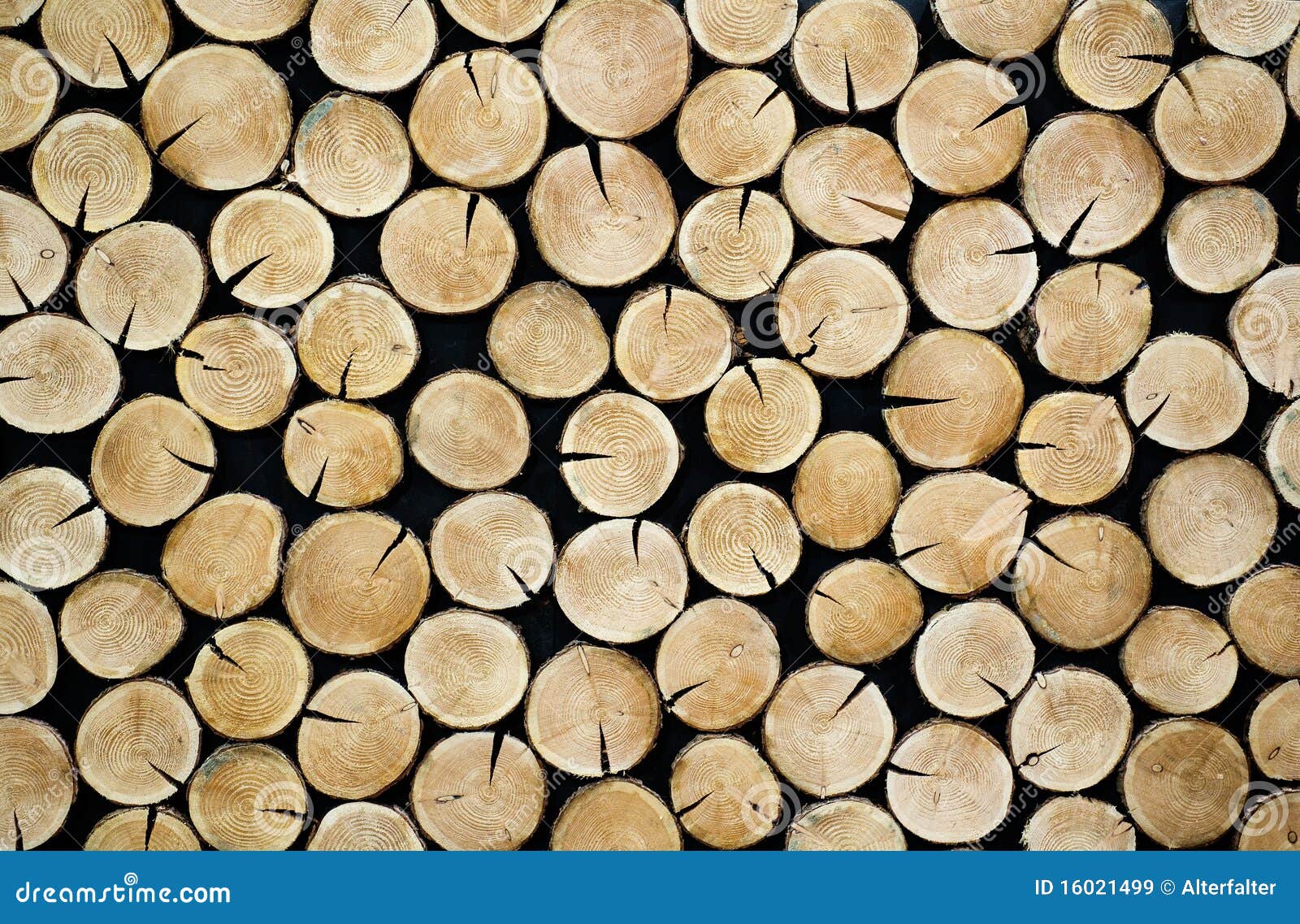 Stacked tree slices stock image. Image of grates, rings - 16021499