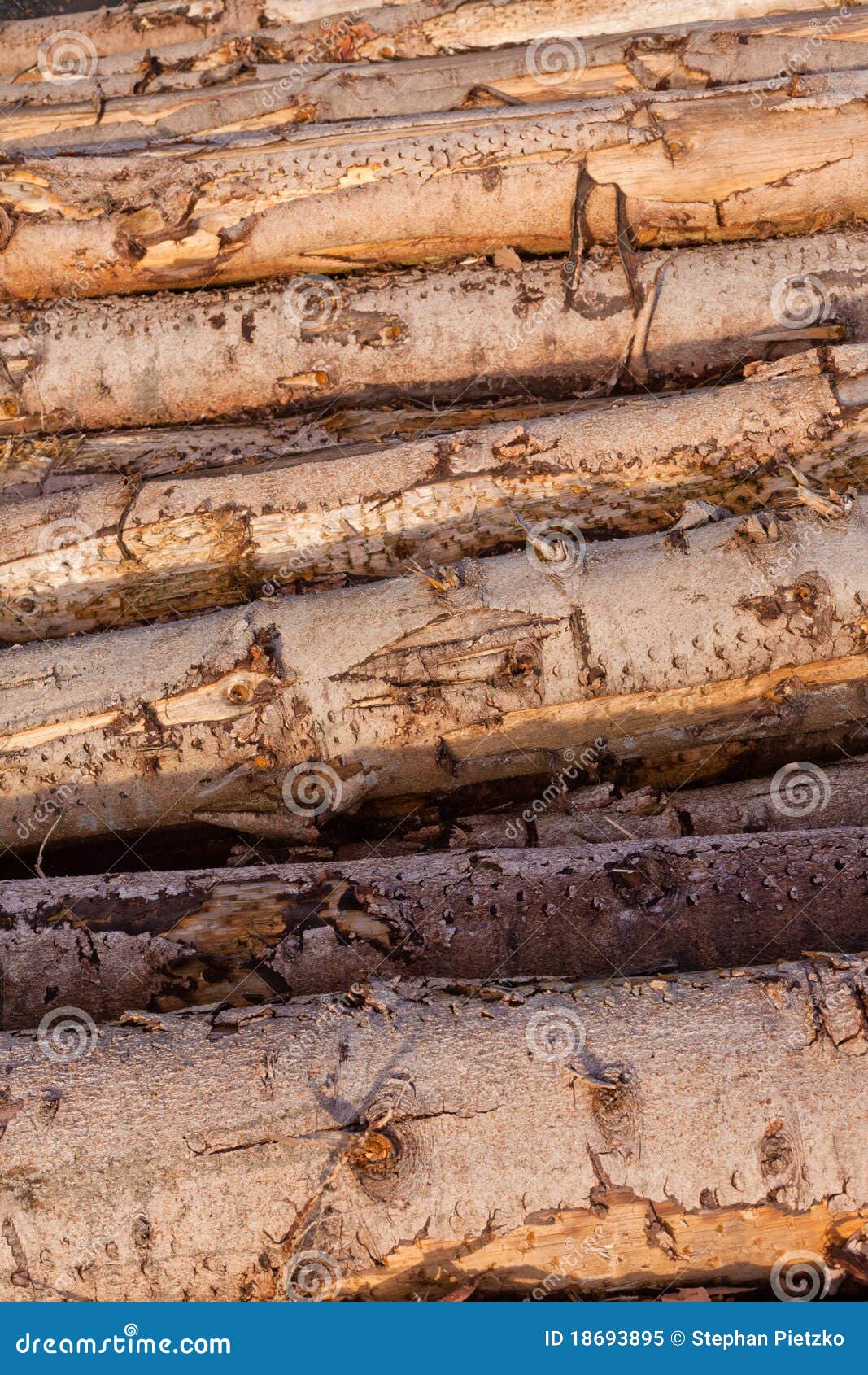 Stacked Tree Trunks Background Texture Pattern. Stock Image - Image of ...