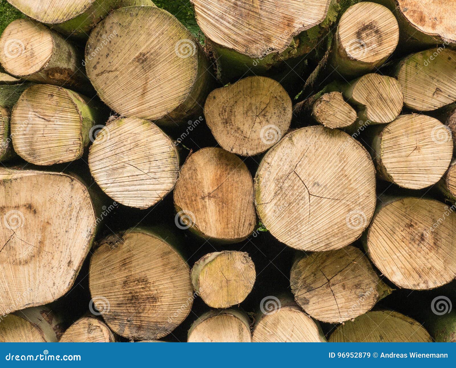 Stacked Tree Trunks in the Forest Stock Image - Image of wall, abstract ...