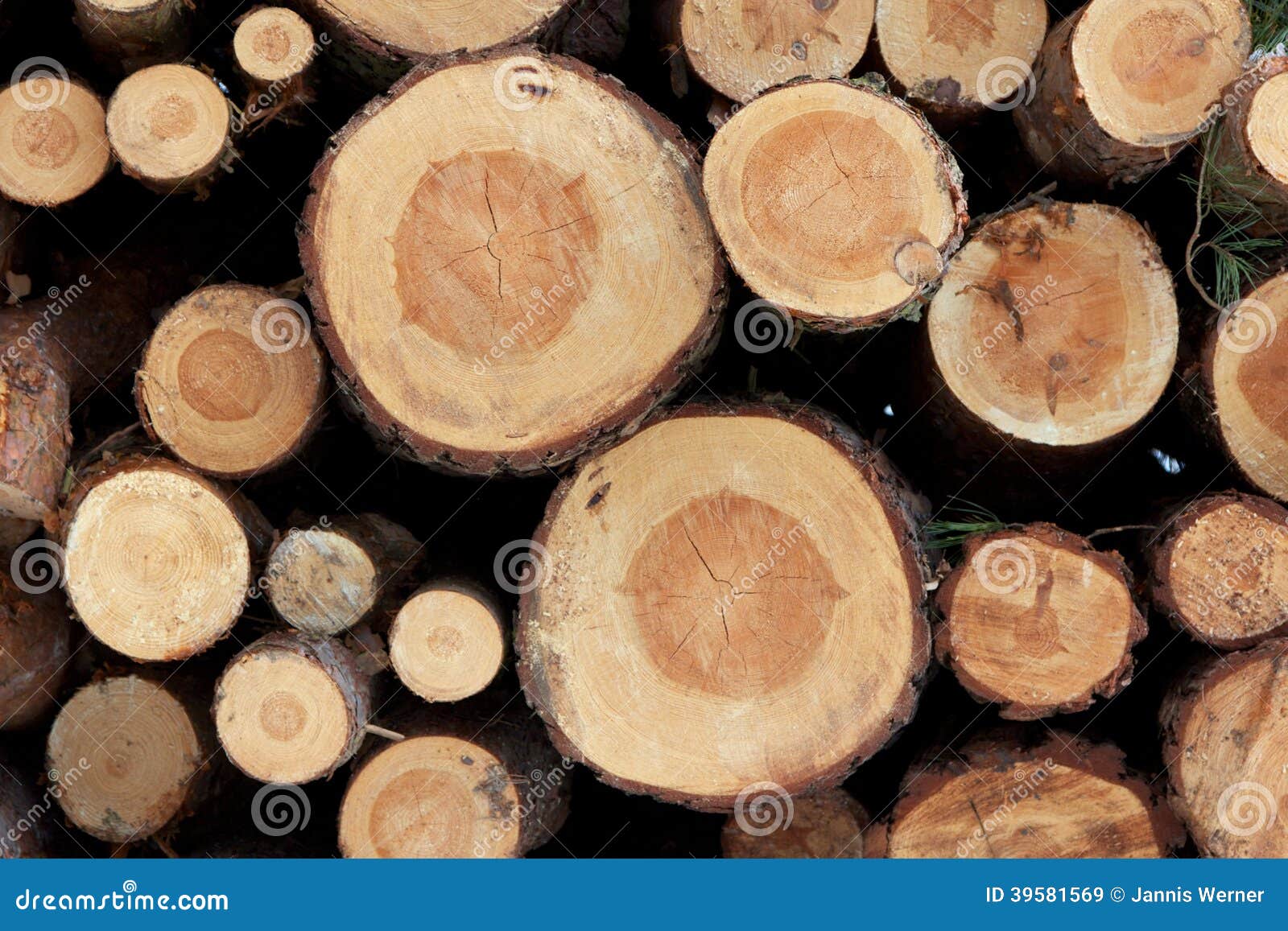 Stacked Tree Trunks stock image. Image of background - 39581569