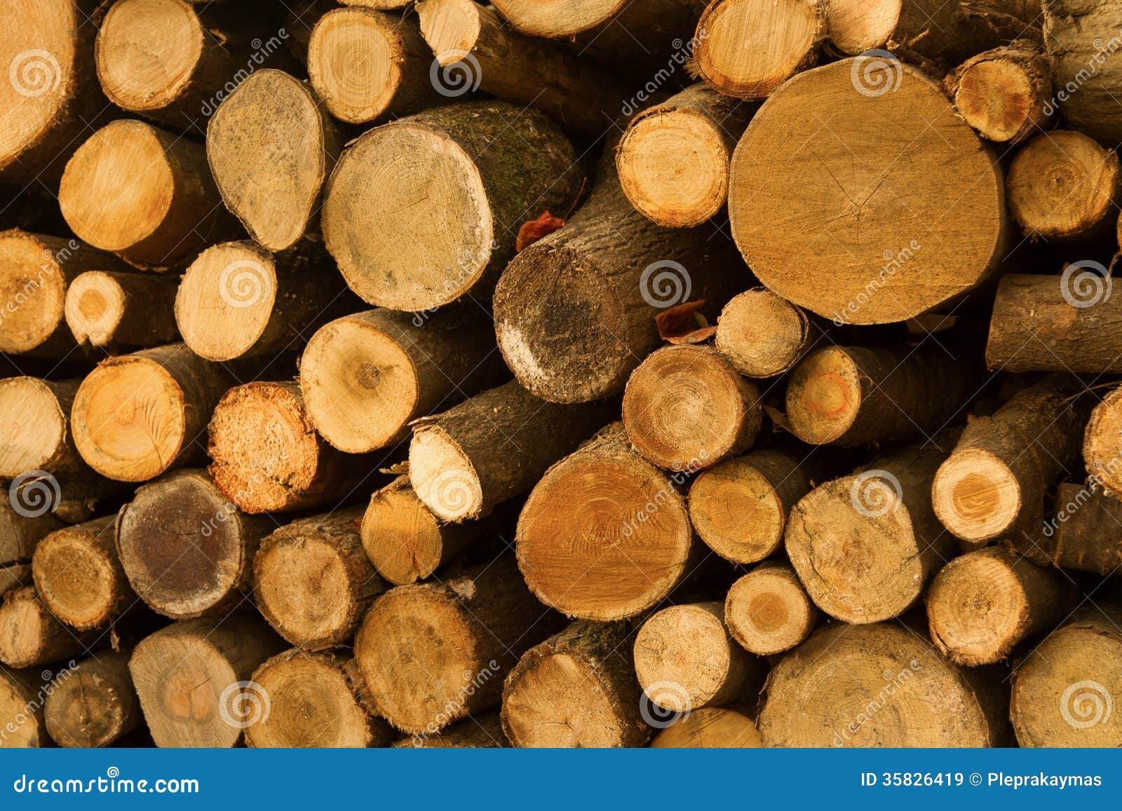 Stacked tree wood logs stock image. Image of stockpile - 35826419