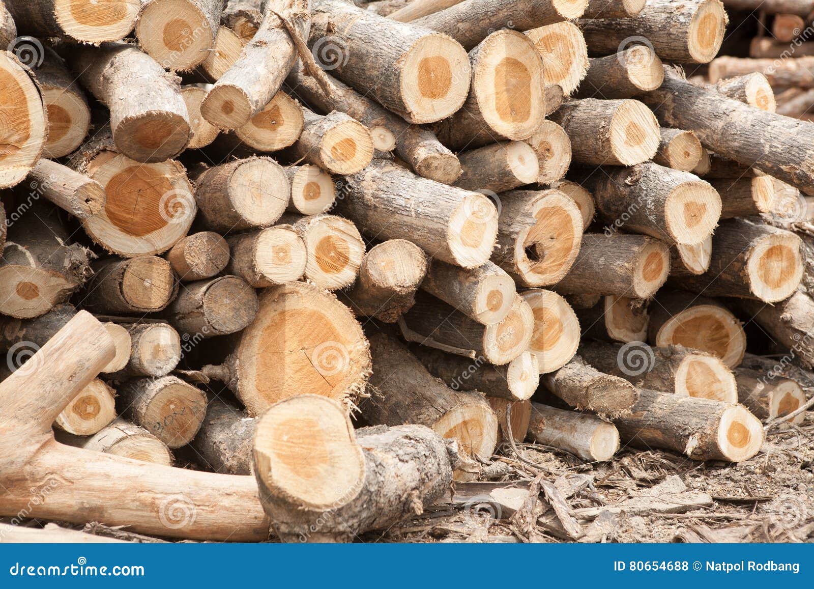 Stacked Tree Wood Logs Background Stock Photo - Image of plank, closeup ...