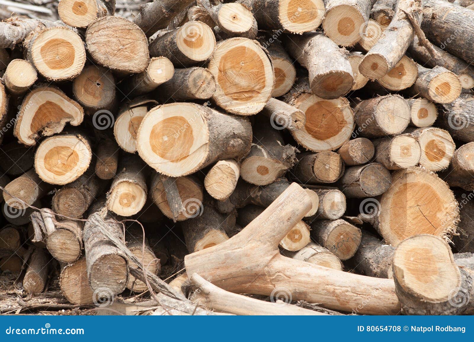 Stacked Tree Wood Logs Background Stock Photo - Image of stack ...