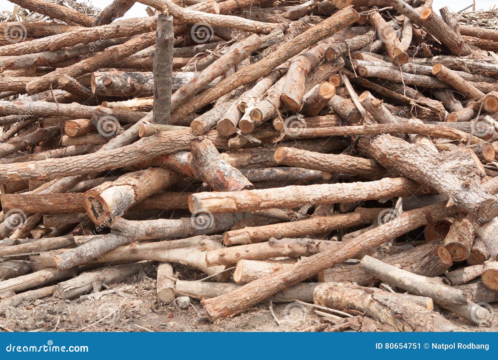 Stacked Tree Wood Logs Background Stock Image - Image of stack ...