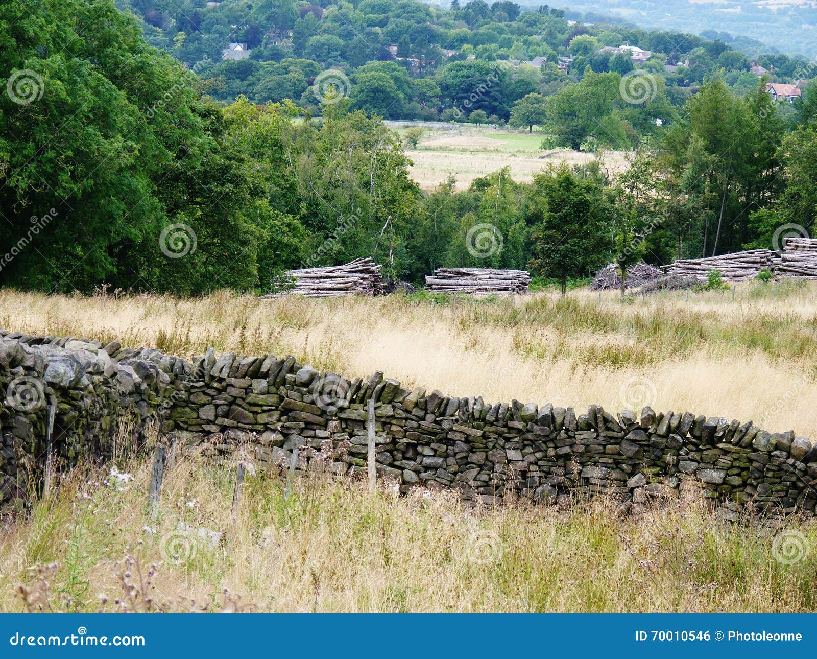 Stacked Up Logs Logging Industry Stock Photo - Image of ground ...