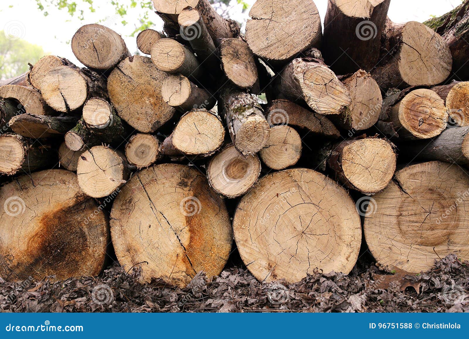 Stacked Up Logs in a Wood Pile for Fire Stock Photo - Image of campfire ...