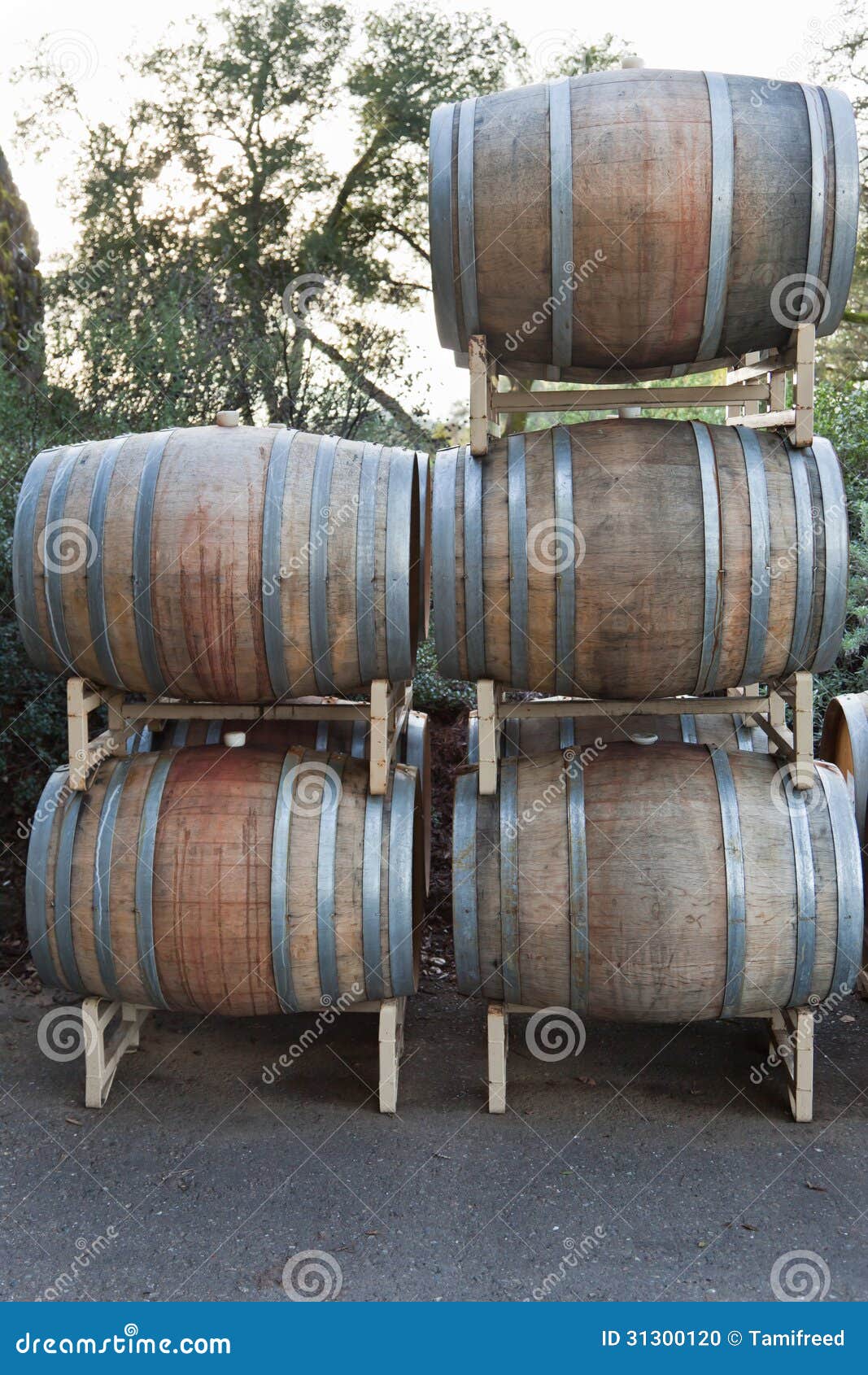 Stacked Wine Barrels stock photo. Image of storage, drum - 31300120