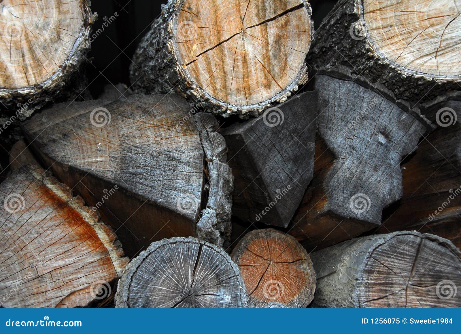 Stacked wood stock image. Image of pile, stump, wood, nature - 1256075