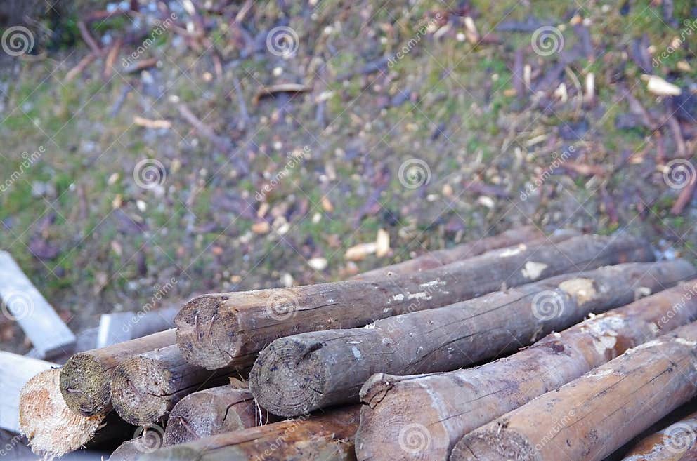 Stacked Wood with a Blured Foreground Stock Photo - Image of hardwood ...