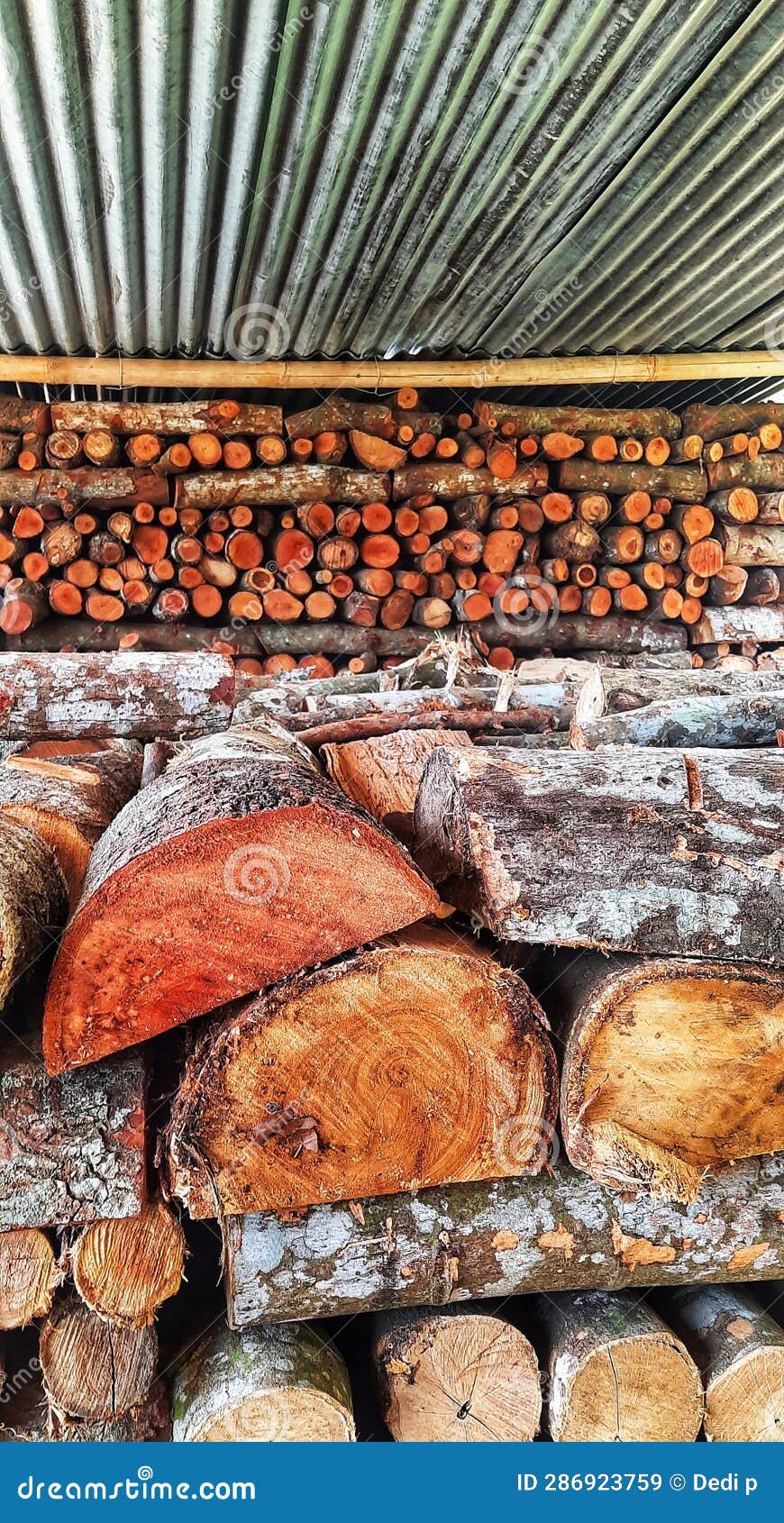 Stacked Wood Forms a Texture with a Natural Pattern. Beautiful Wooden ...