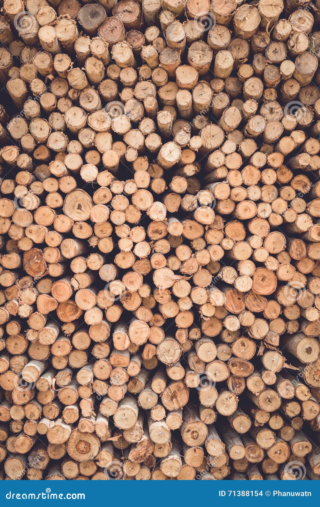 Stacked of Wood Log for Construction Buildings Background Stock Photo ...