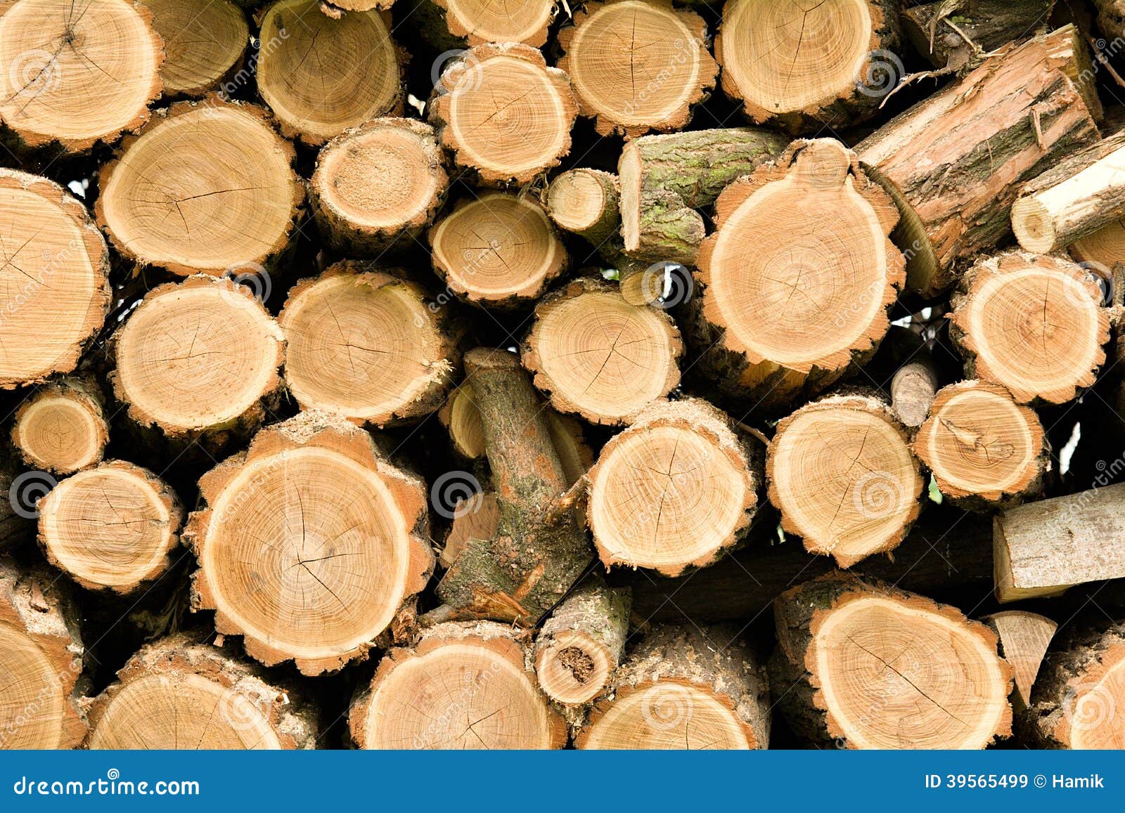 Stacked wood logs stock image. Image of texture, logs - 39565499