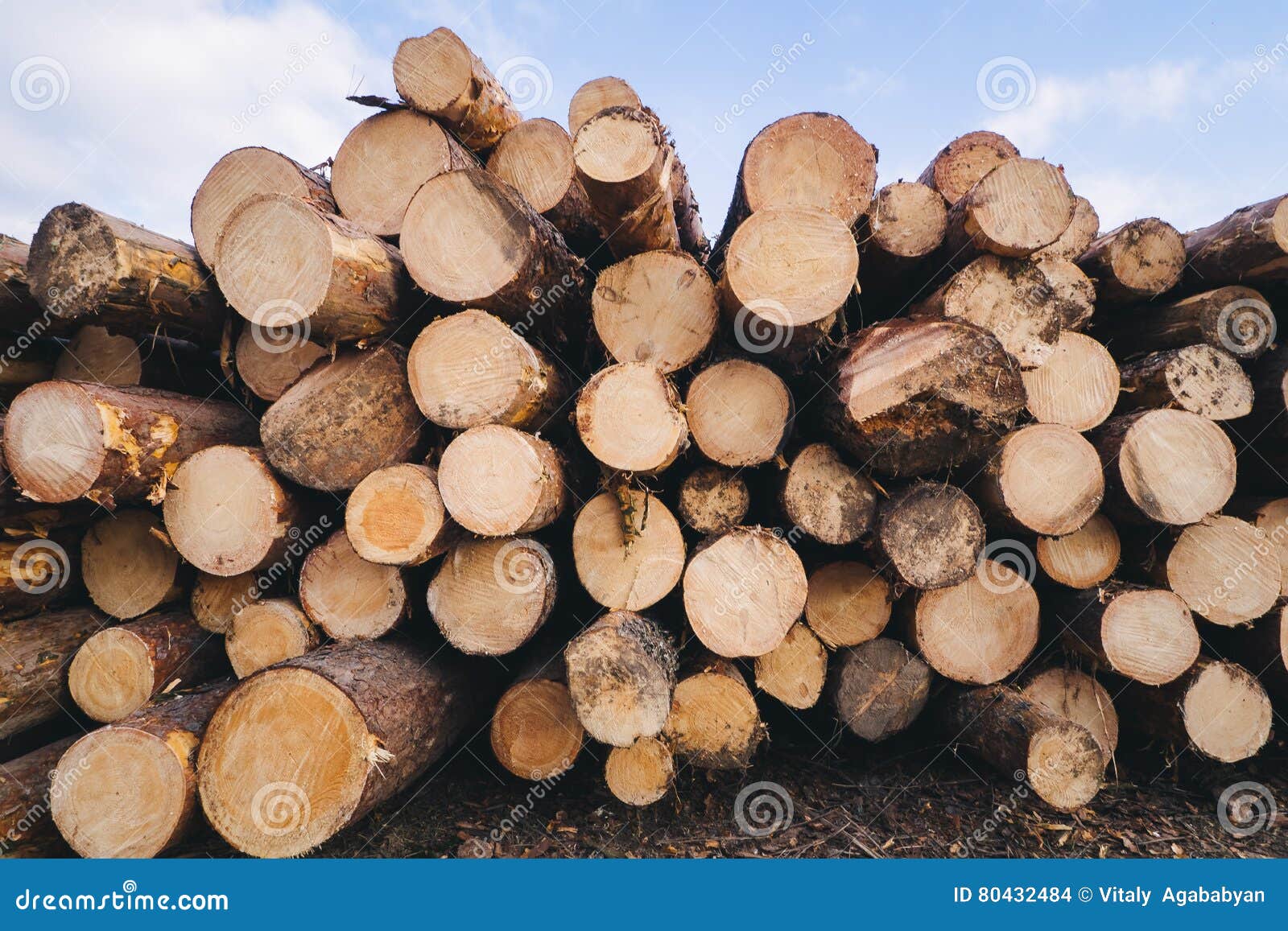 Stacked Wood Pine Timber for Construction Buildings Stock Photo - Image ...