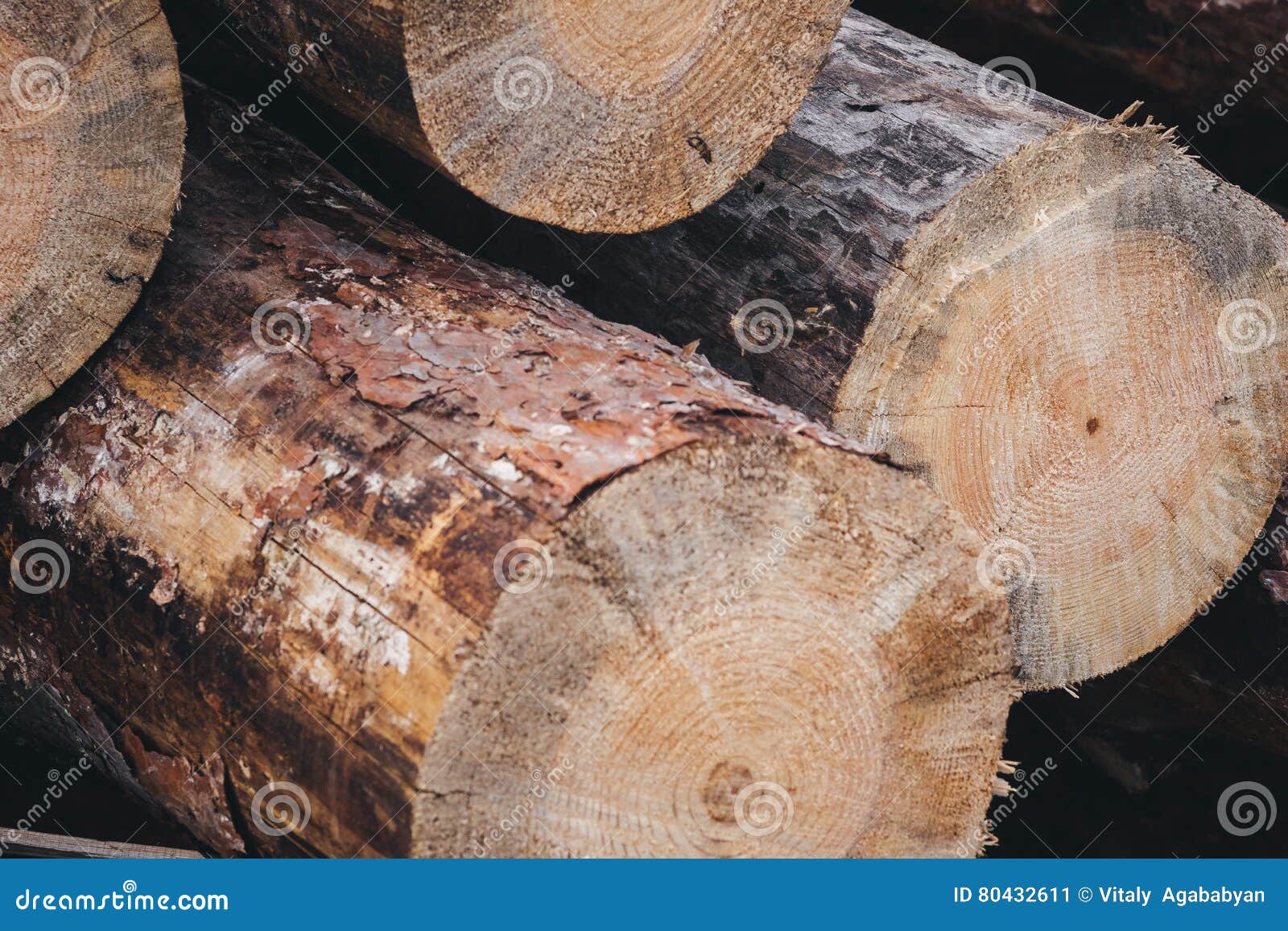 Stacked Wood Pine Timber for Construction Buildings Stock Image - Image ...
