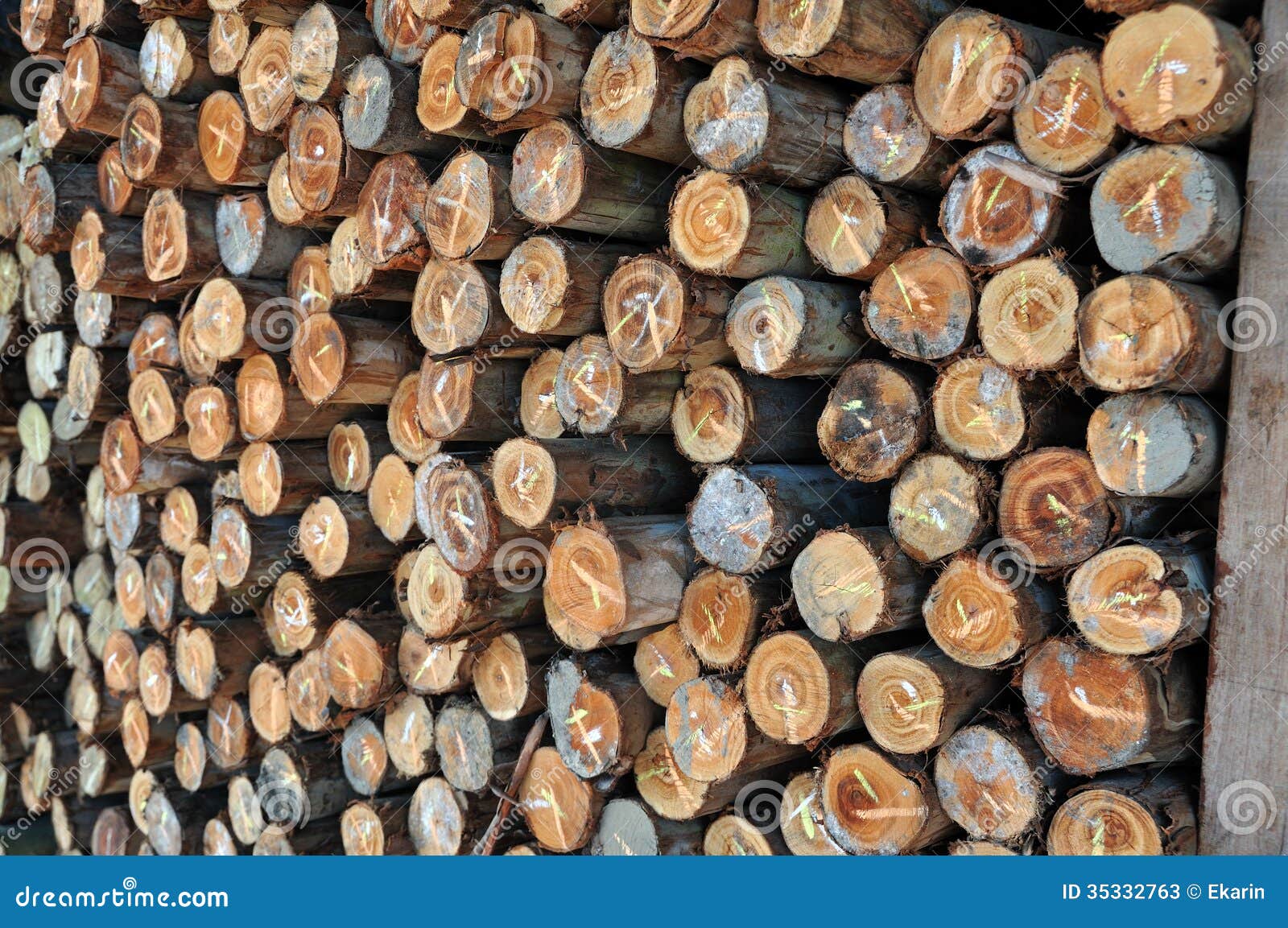 Stacked Wood Pine Timber for Construction Stock Image - Image of round ...