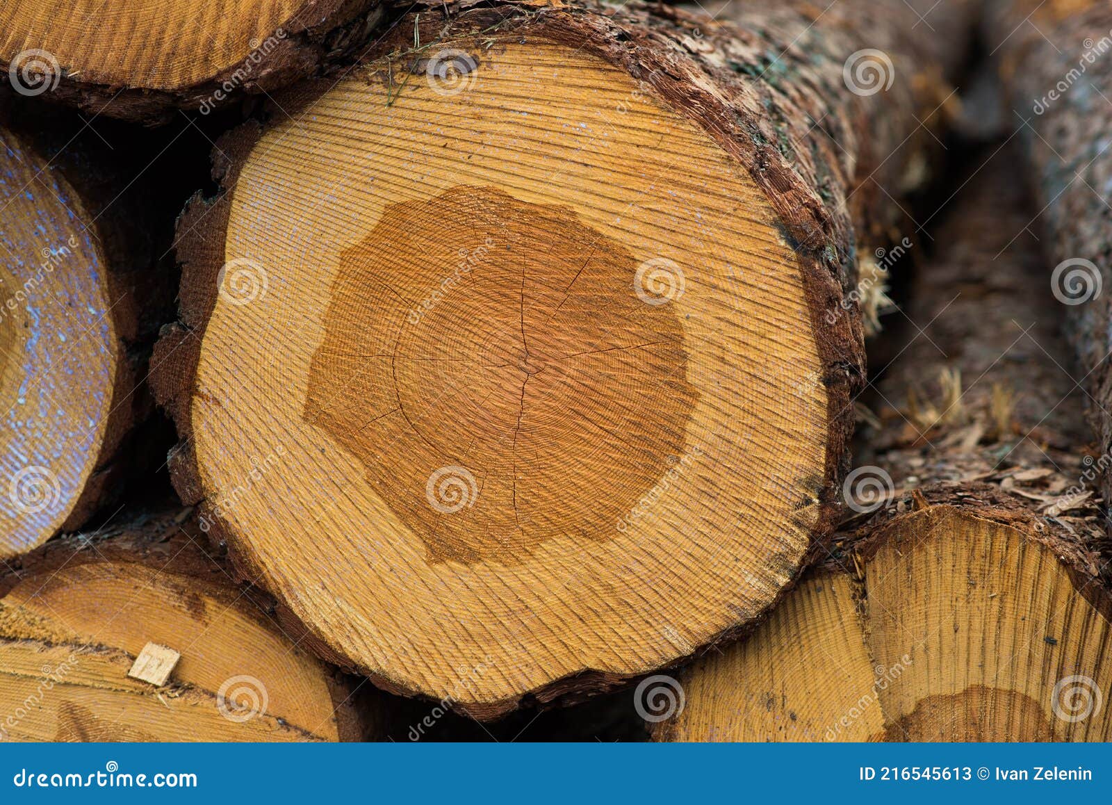 Stacked Wood Pine Timber for Construction Buildings Background Stock ...