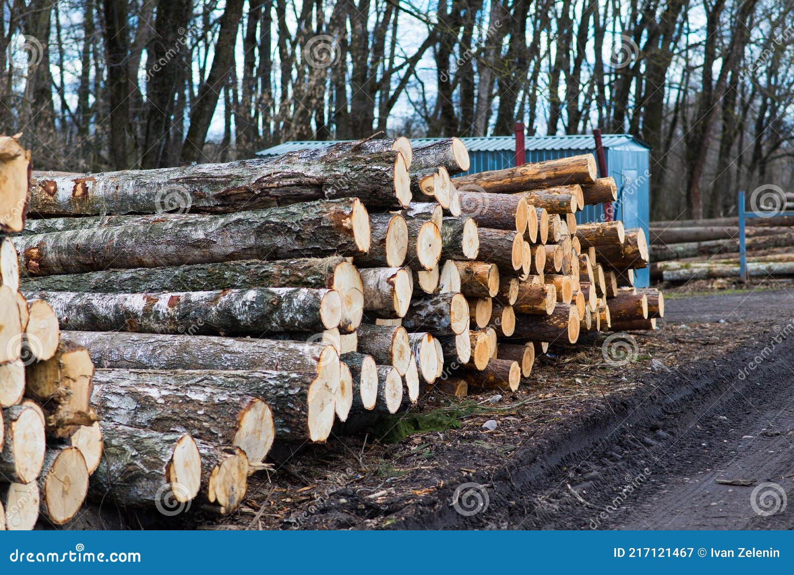 Stacked Wood Pine Timber for Construction Buildings Background Stock ...